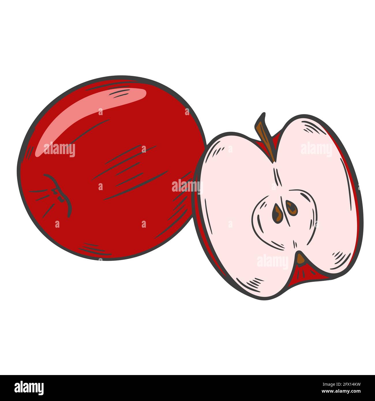 Apple, whole and half, vector. Set of red apples. A product of farming ...