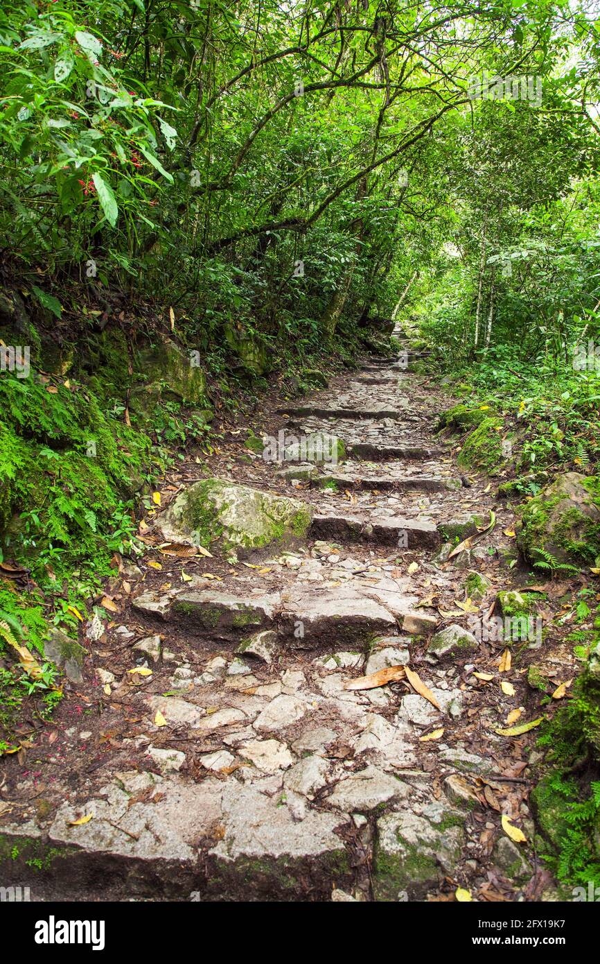 Machu Picchu, pathway to peruvian incan town, unesco world heritage ...