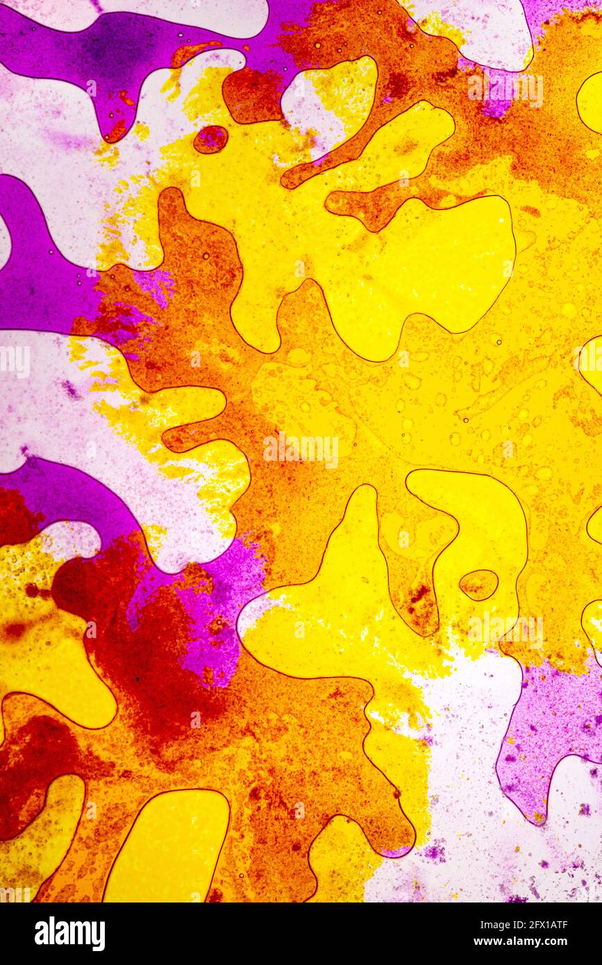 Modern trendy colorful background in neon light. Copy space for design ...