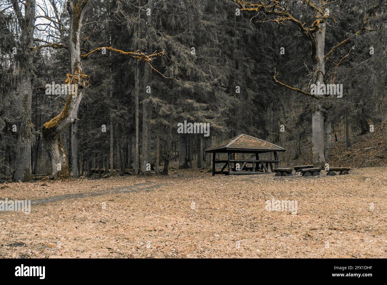Public rest stop picnic area hi-res stock photography and images - Alamy