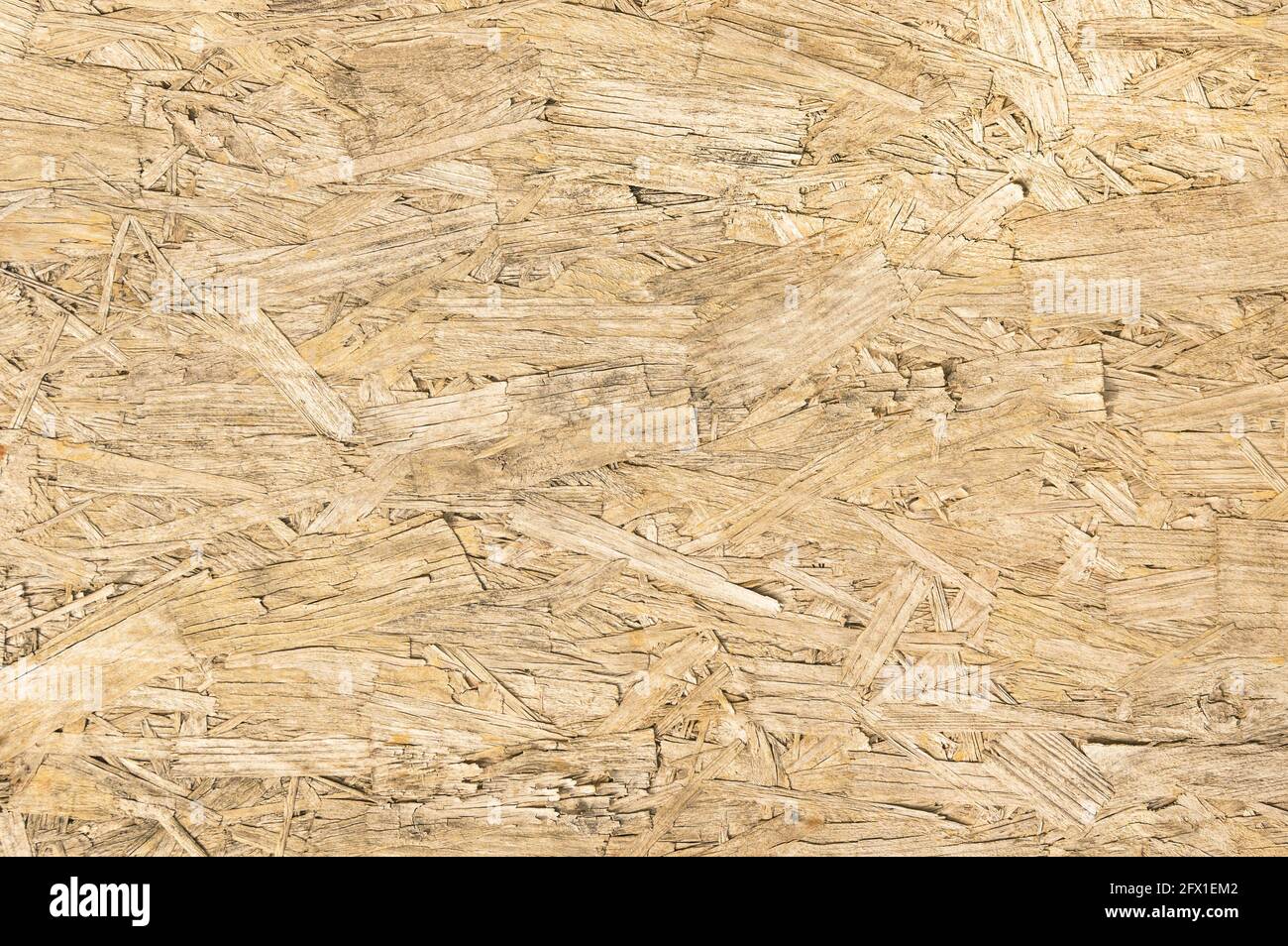 Particle Board Texture