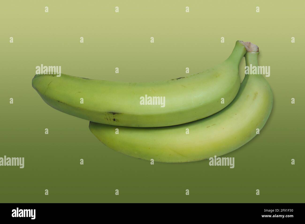 green bananas over matching colour gradient background Stock Photo - Alamy