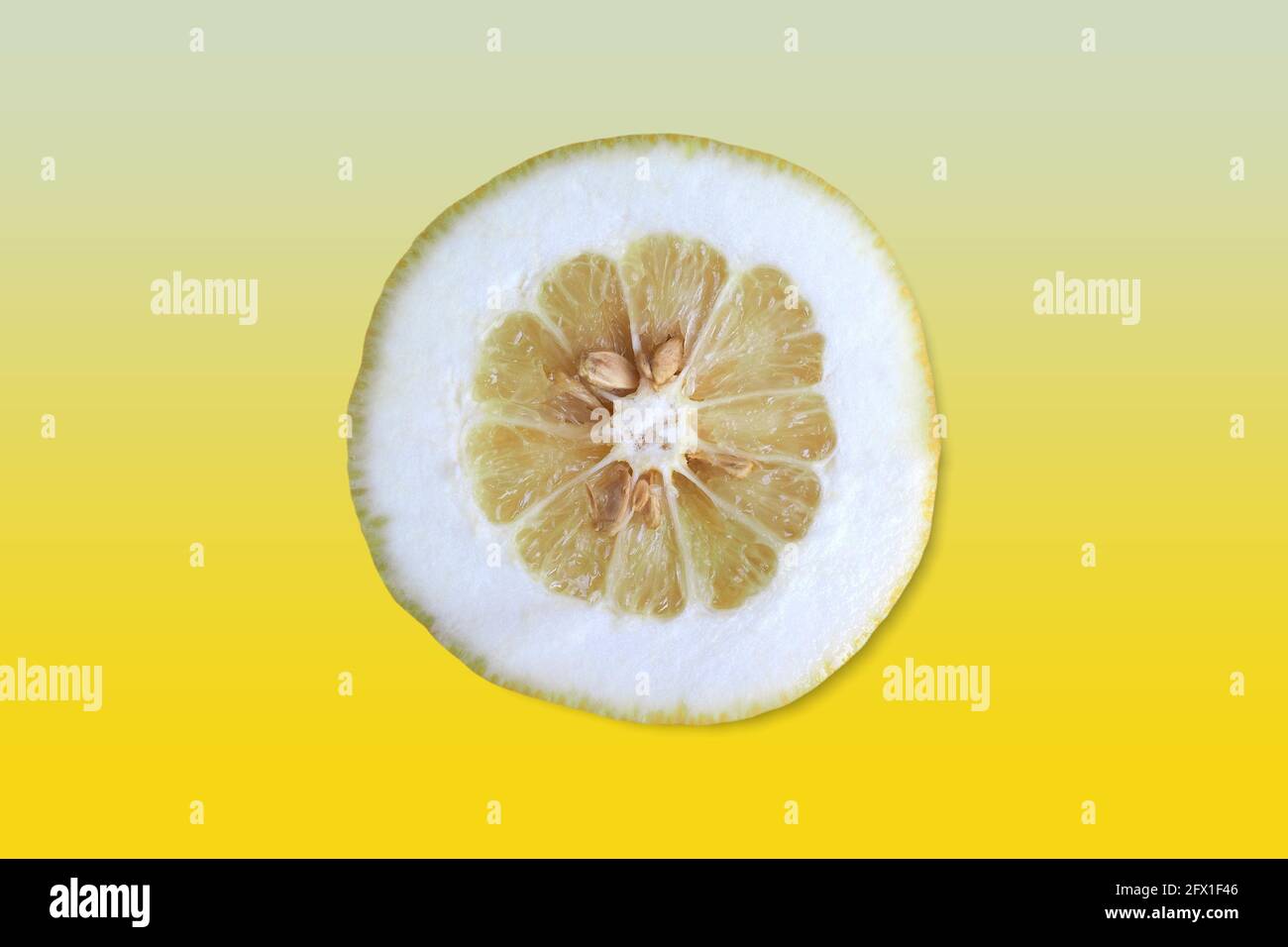 citron fruit slice over matching colour gradient background Stock Photo ...