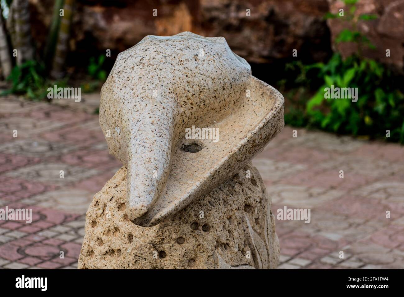 Blow conch shells hi-res stock photography and images - Alamy