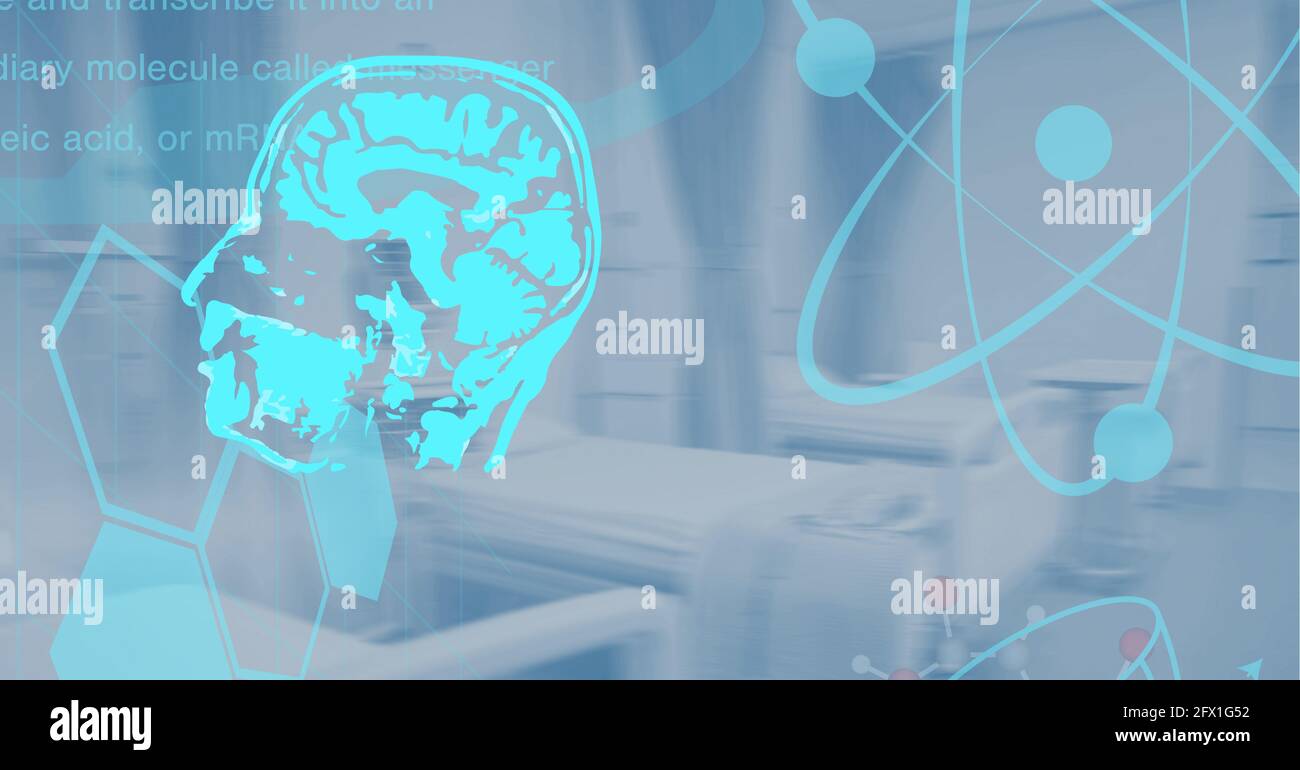 Composition of human brain, network of medical icons over hospital ...
