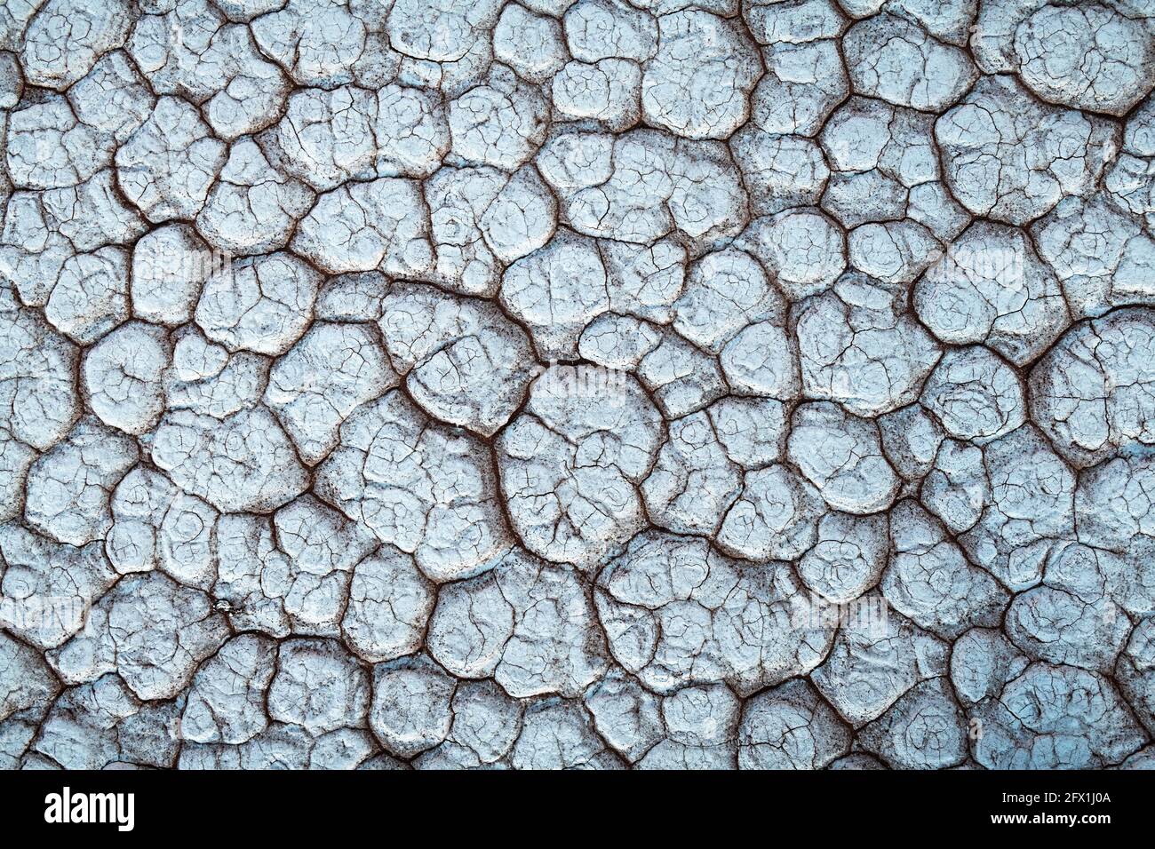 Cracked land texture. Beautiful nature background for your project ...