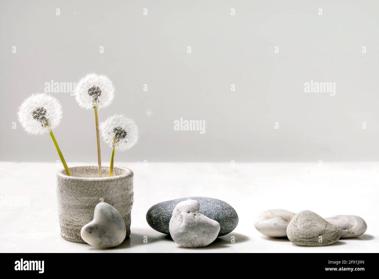 Still life with blooming fluffy dandelions flowers in handmade ceramic ...
