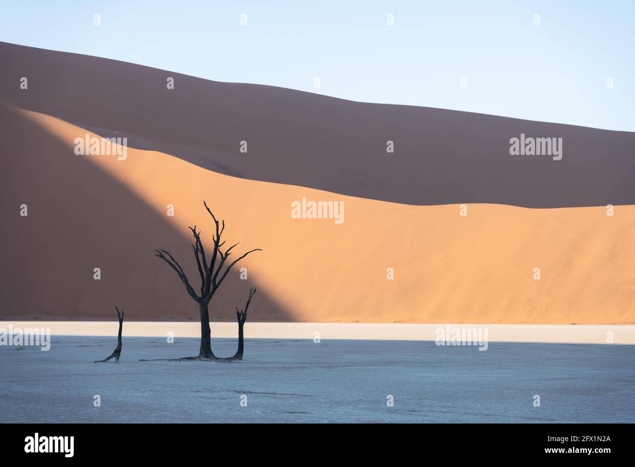 Dead Camelthorn Trees at sunrise, Deadvlei, Namib-Naukluft National ...
