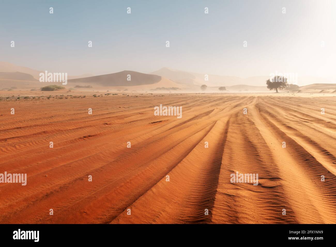 Car namibia sandstorm hi-res stock photography and images - Alamy