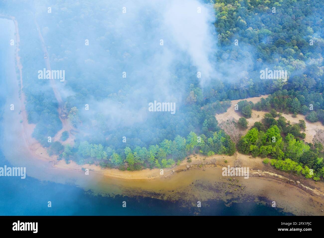 Forest fire burned trees after wildfire, pollution a lot of smoke Stock ...