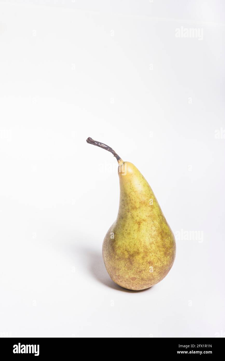 A single Conference pear on a white background with copyspace Stock ...