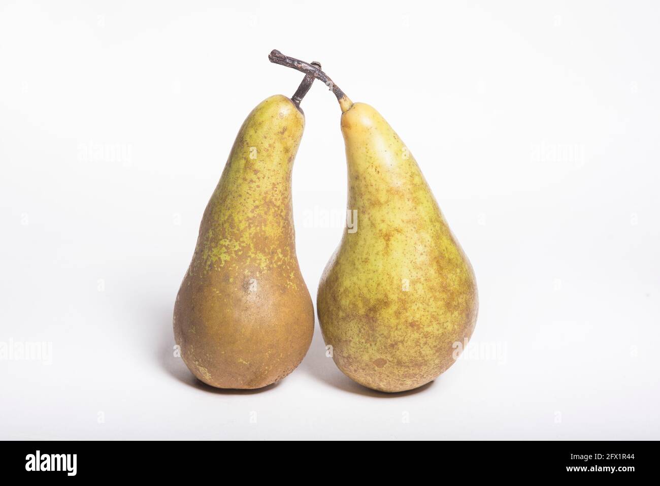 Pears fruit pear home grown hi-res stock photography and images - Alamy