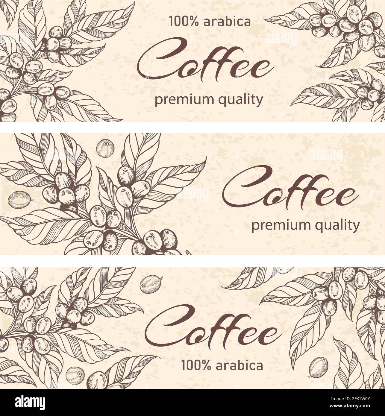Decorative horizontal backgrounds with hand drawn coffee plants and ...
