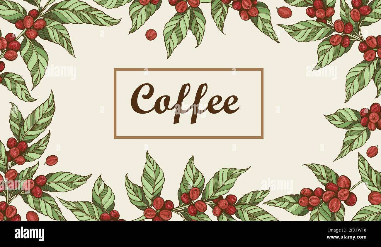 Decorative floral frame with hand drawn coffee plants and coffee beans ...