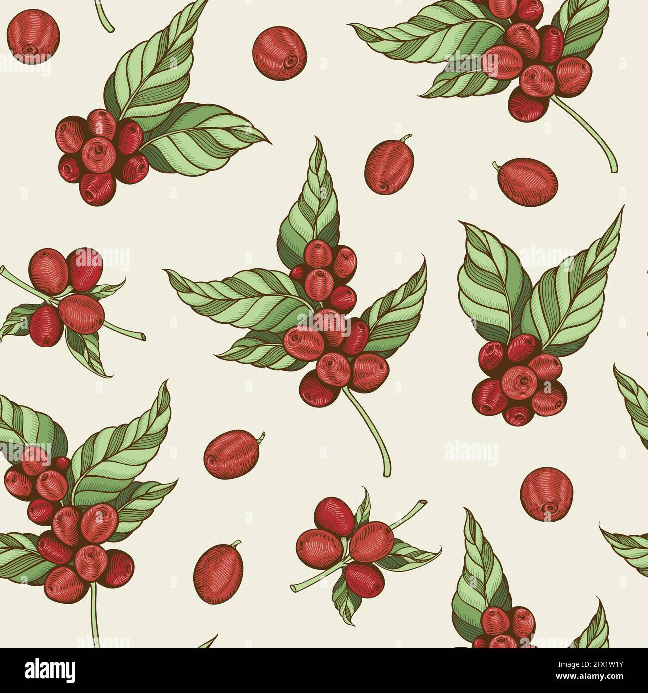 Vintage hand drawn seamless pattern with coffee plant and coffee beans ...