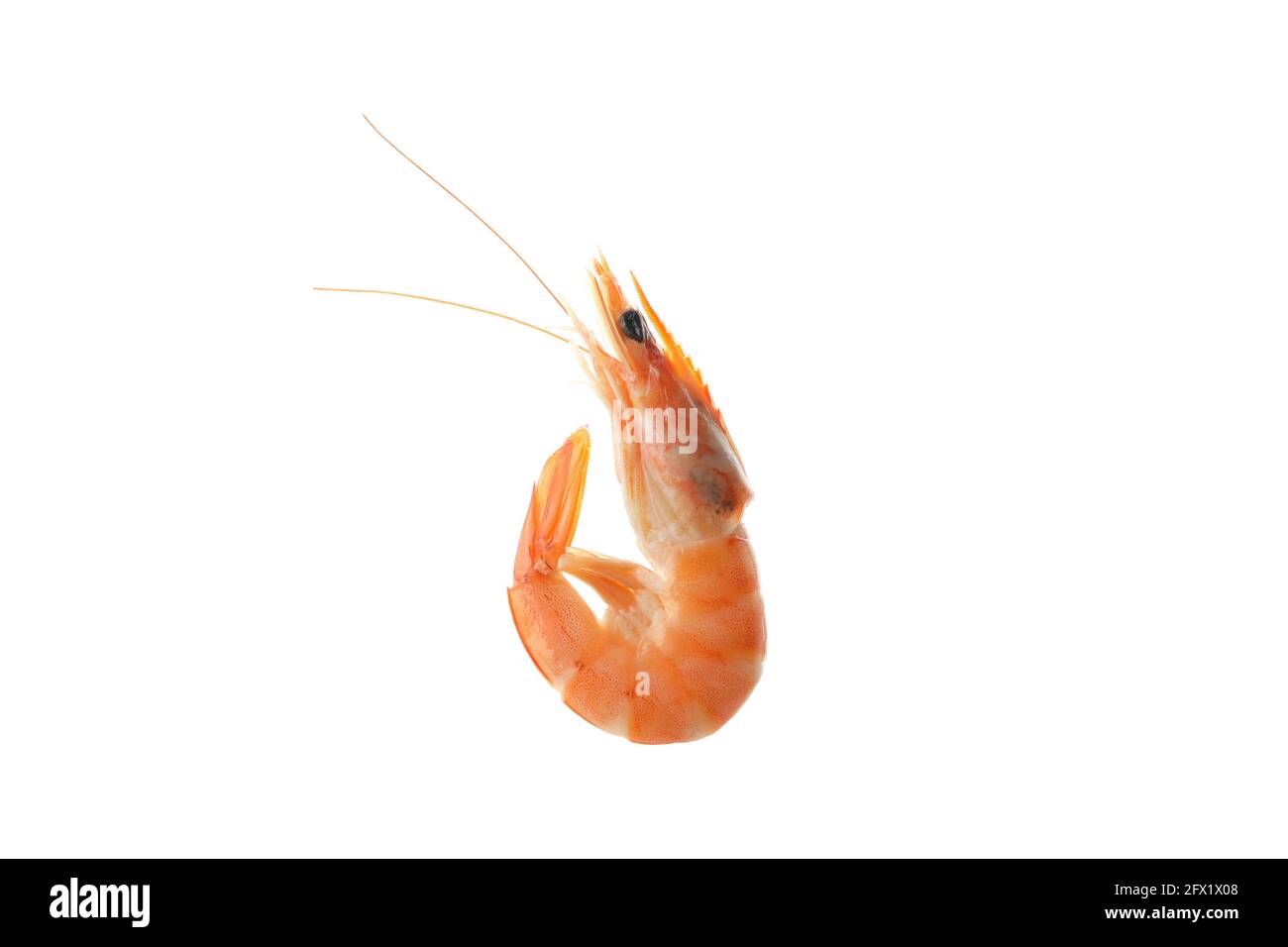 Tasty cooked shrimp isolated on white background Stock Photo - Alamy