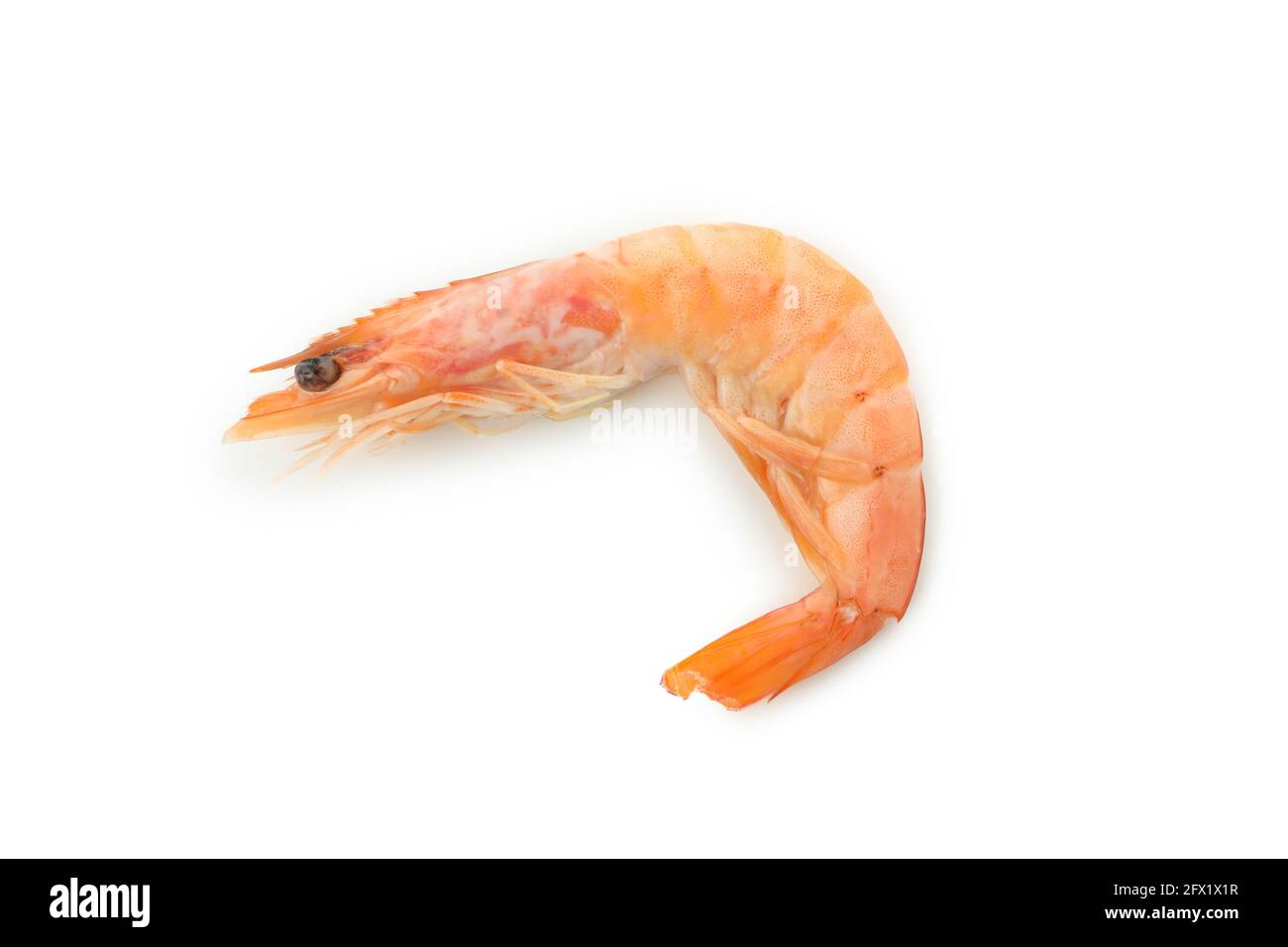 Tasty cooked shrimp isolated on white background Stock Photo - Alamy