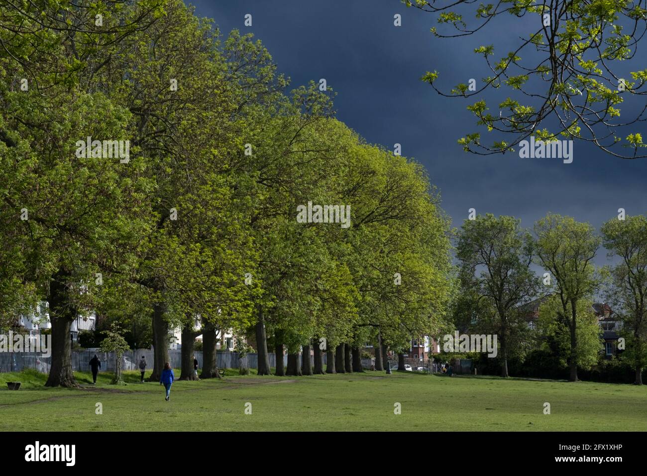 The dark skies of an approaching rain storm approach park users in ...