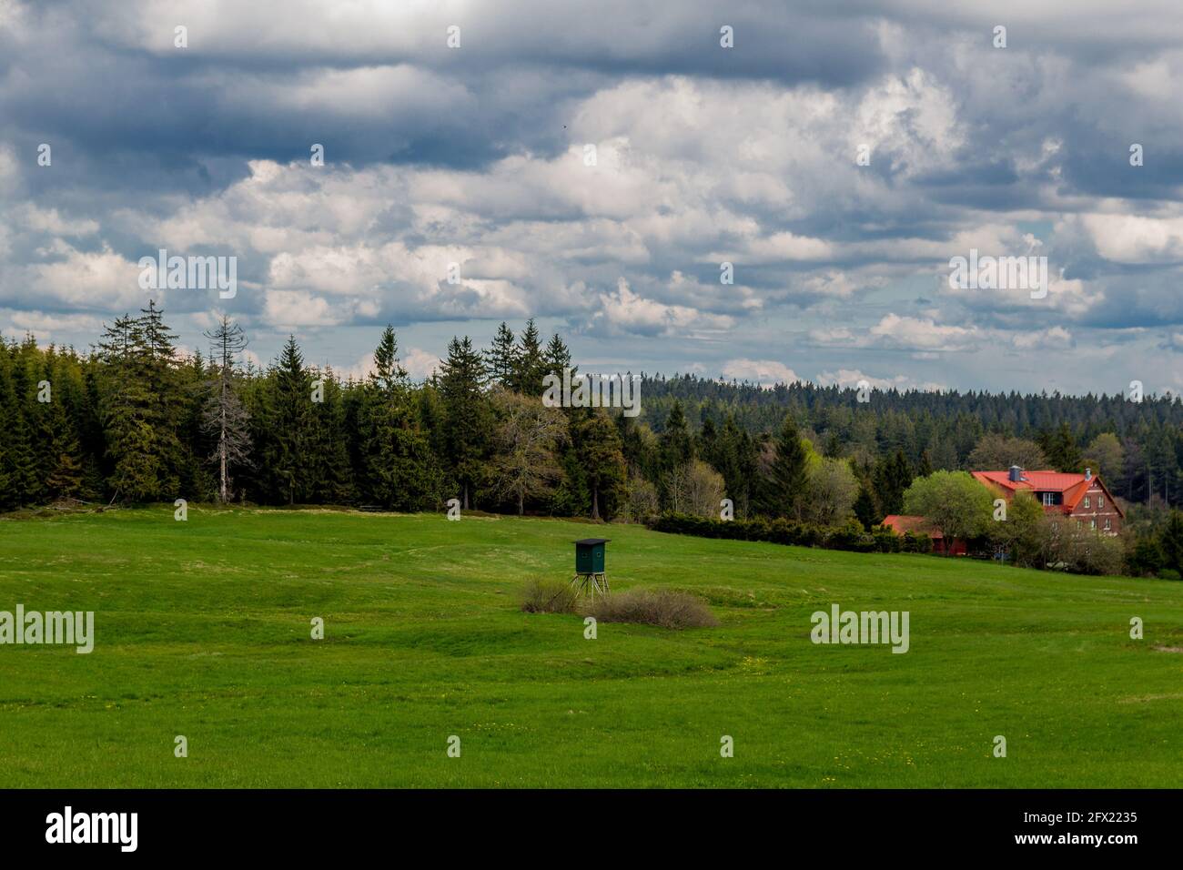 Springlike awakening along the Rennsteig in the most beautiful sunshin ...