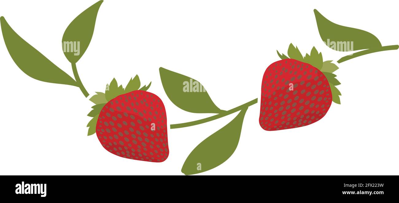 Fresh ripe red strawberry Stock Vector Images - Alamy