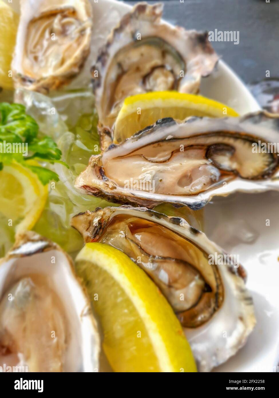 Top view oysters from hi-res stock photography and images - Alamy