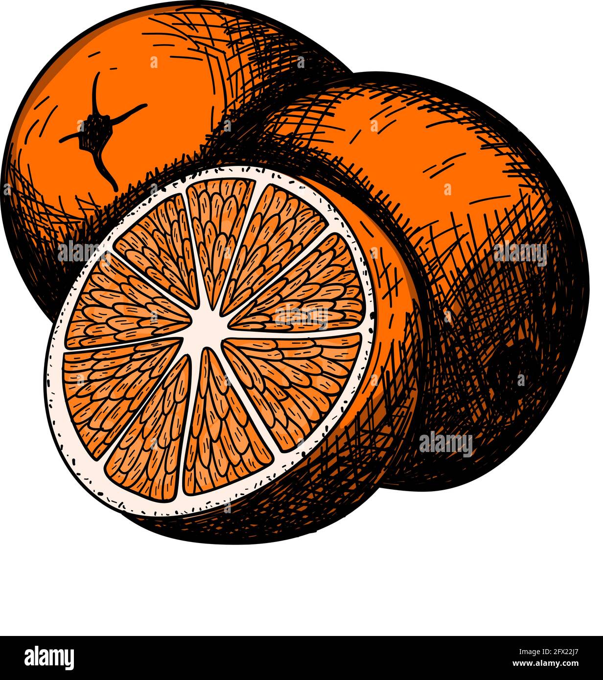 Icon Of Orange. Hand Drawn Sketch Design. Vector Illustration Stock ...