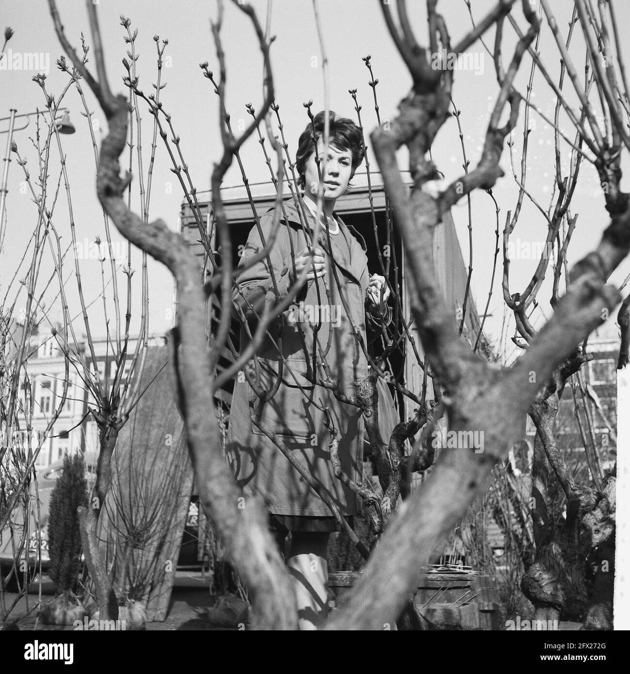 Planting shrubs shrub Black and White Stock Photos & Images - Alamy