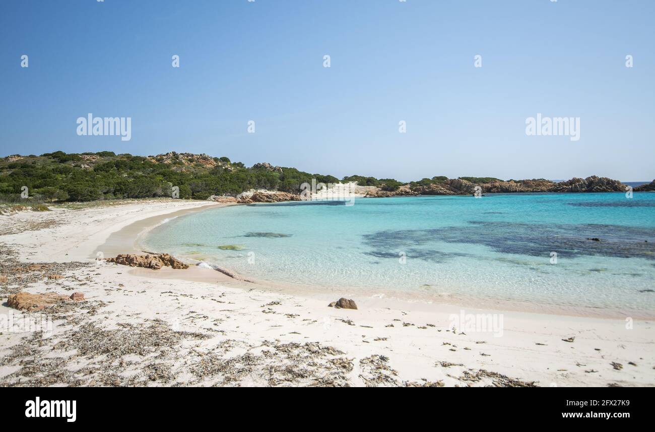 Spiaggia Rosa, isola di Budelli, Parco Nazionale Arcipelago di La ...