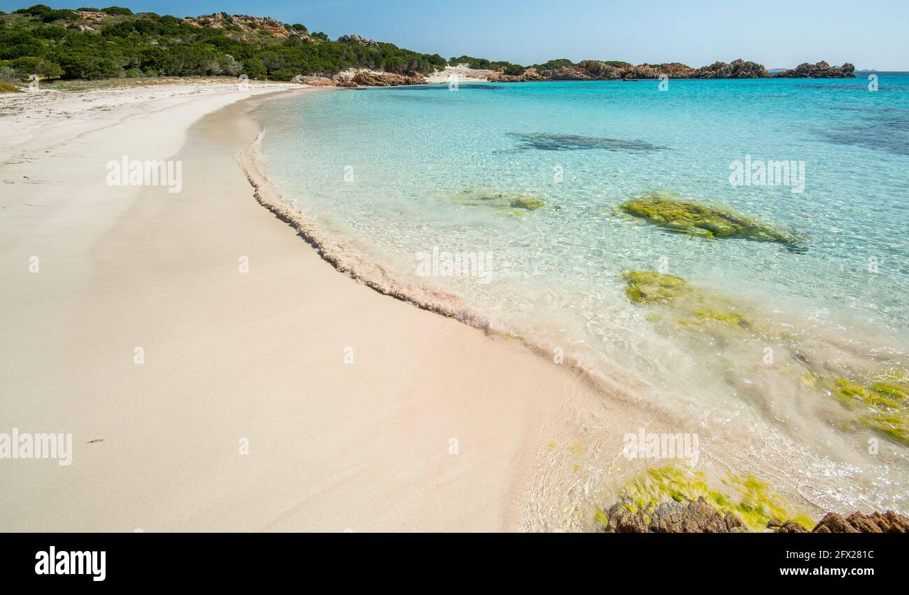Spiaggia Rosa, isola di Budelli, Parco Nazionale Arcipelago di La ...