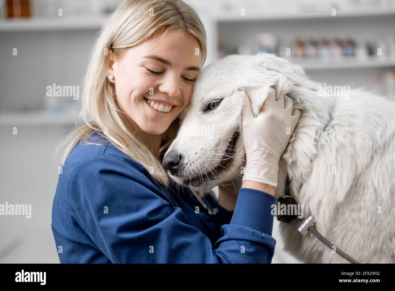 Happy female veterinarian hugs the patient big white dog standing at ...