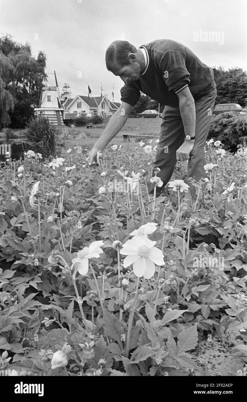 Linnaeushof reopens hi-res stock photography and images - Alamy