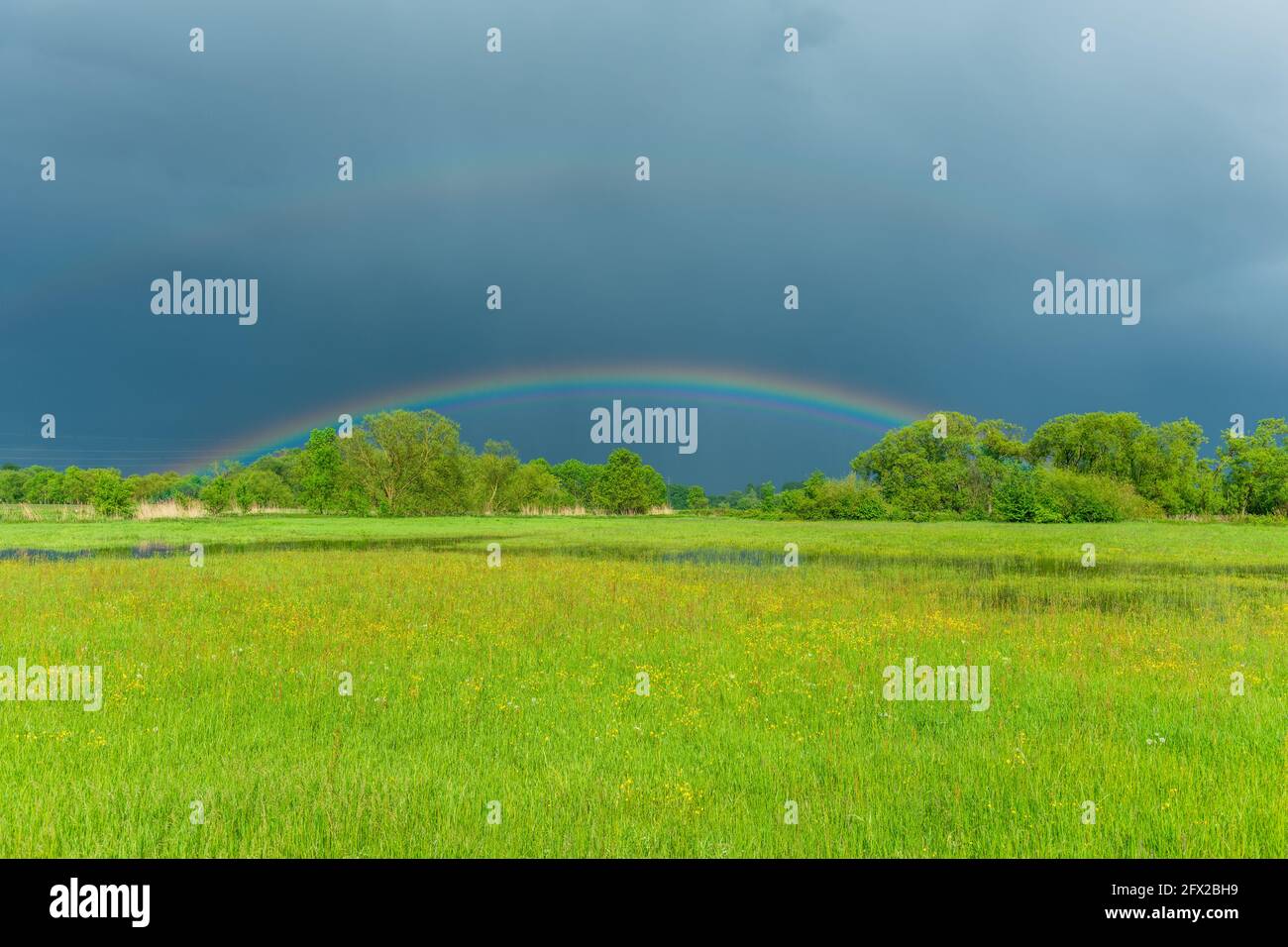 Rainbow over meadow landscape hi-res stock photography and images - Alamy