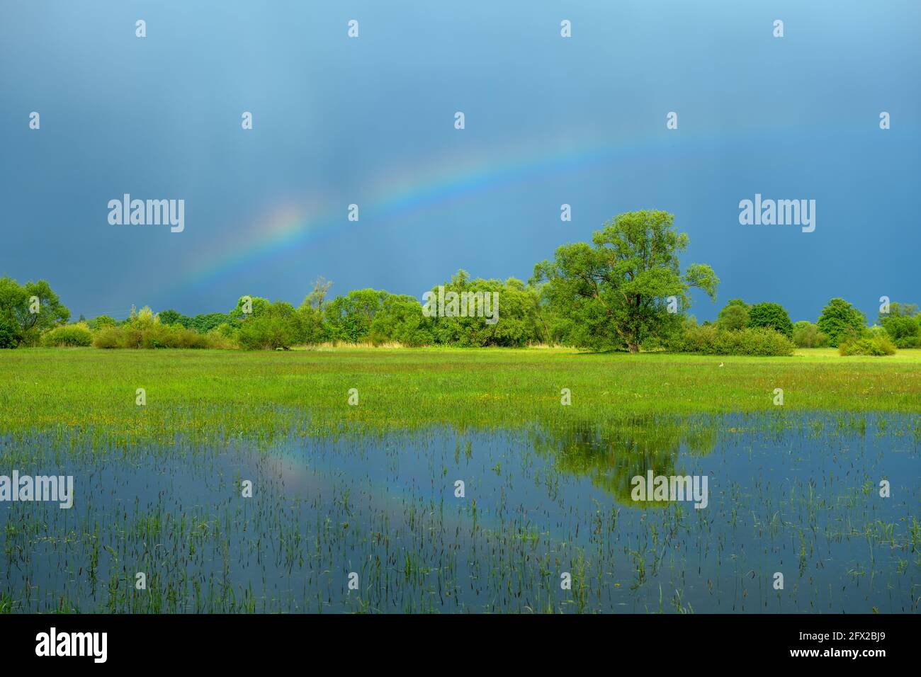 Rainbow over a flooded meadow in rainy weather in spring. France ...