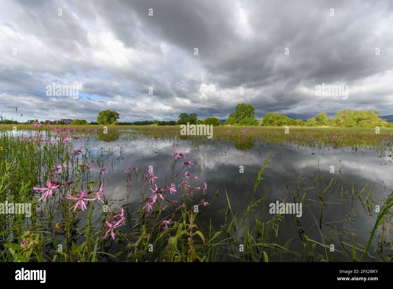 Season wallpapers hi-res stock photography and images - Alamy