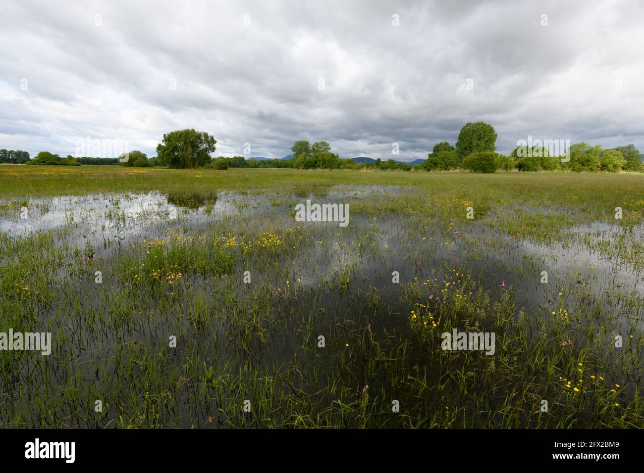 Season wallpapers hi-res stock photography and images - Alamy