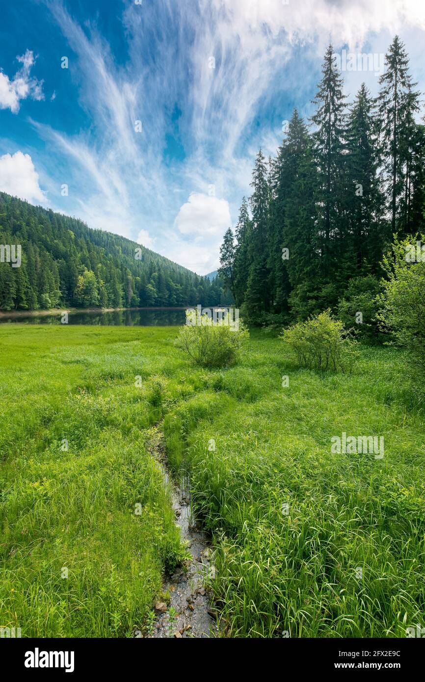 Beautiful Summer Landscape