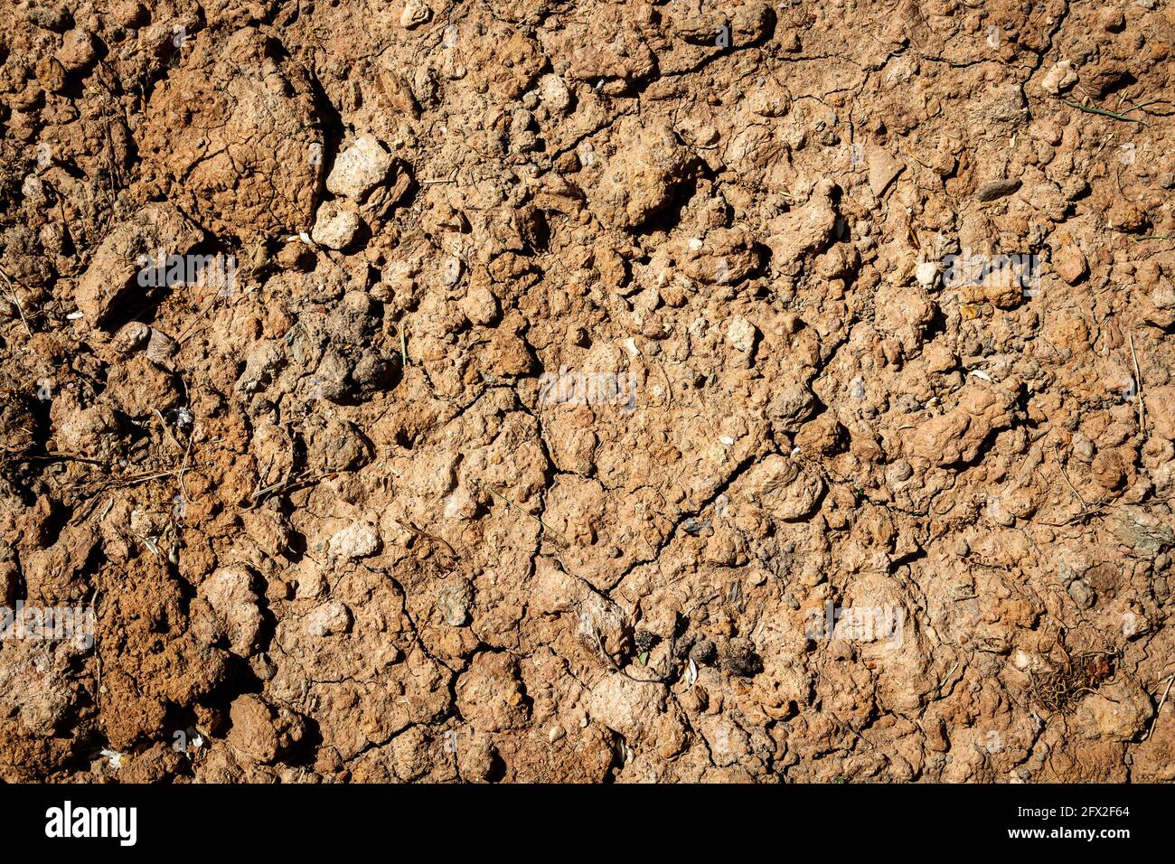 Abstract ground texture with clumps. Soil background Stock Photo - Alamy