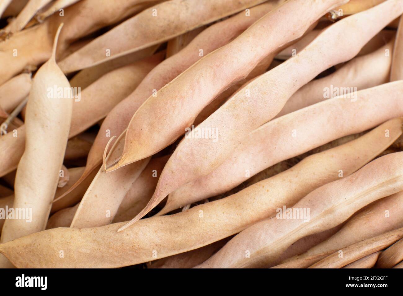Dry yellow pods with beans, background. Copy space for text, vegetables ...