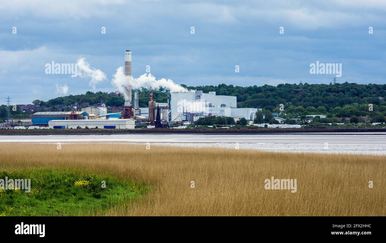 Chemical pollution river uk hi-res stock photography and images - Alamy