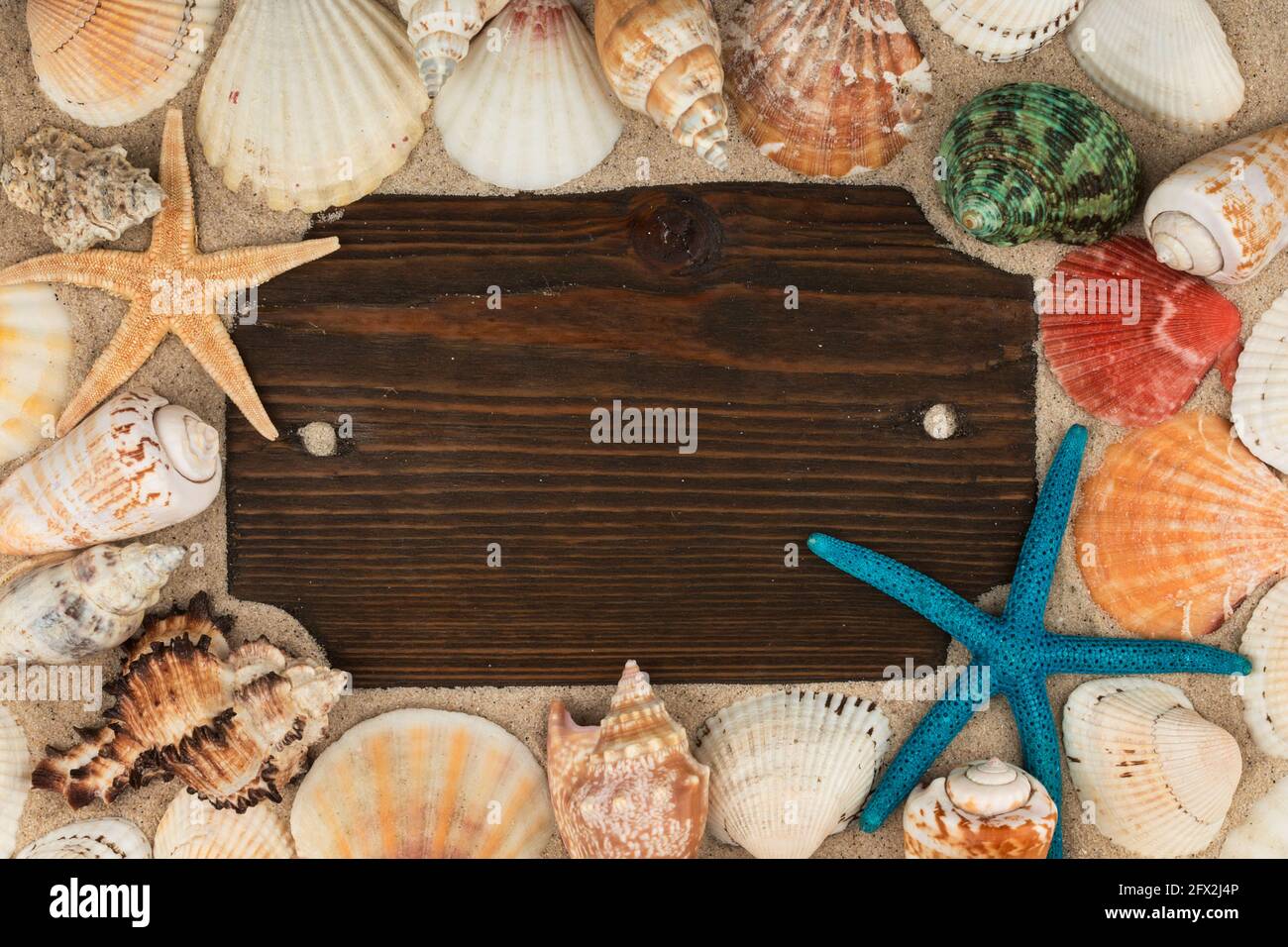 Wooden plank lies in the sand among seashells and stars. Top view. Copy ...