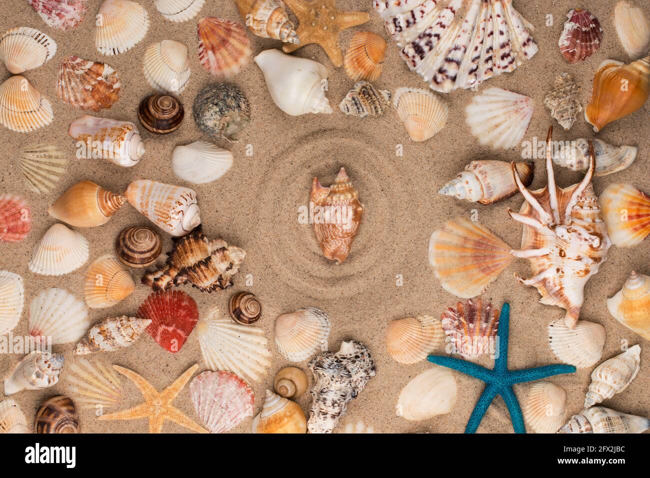 Ring of seashells hi-res stock photography and images - Alamy