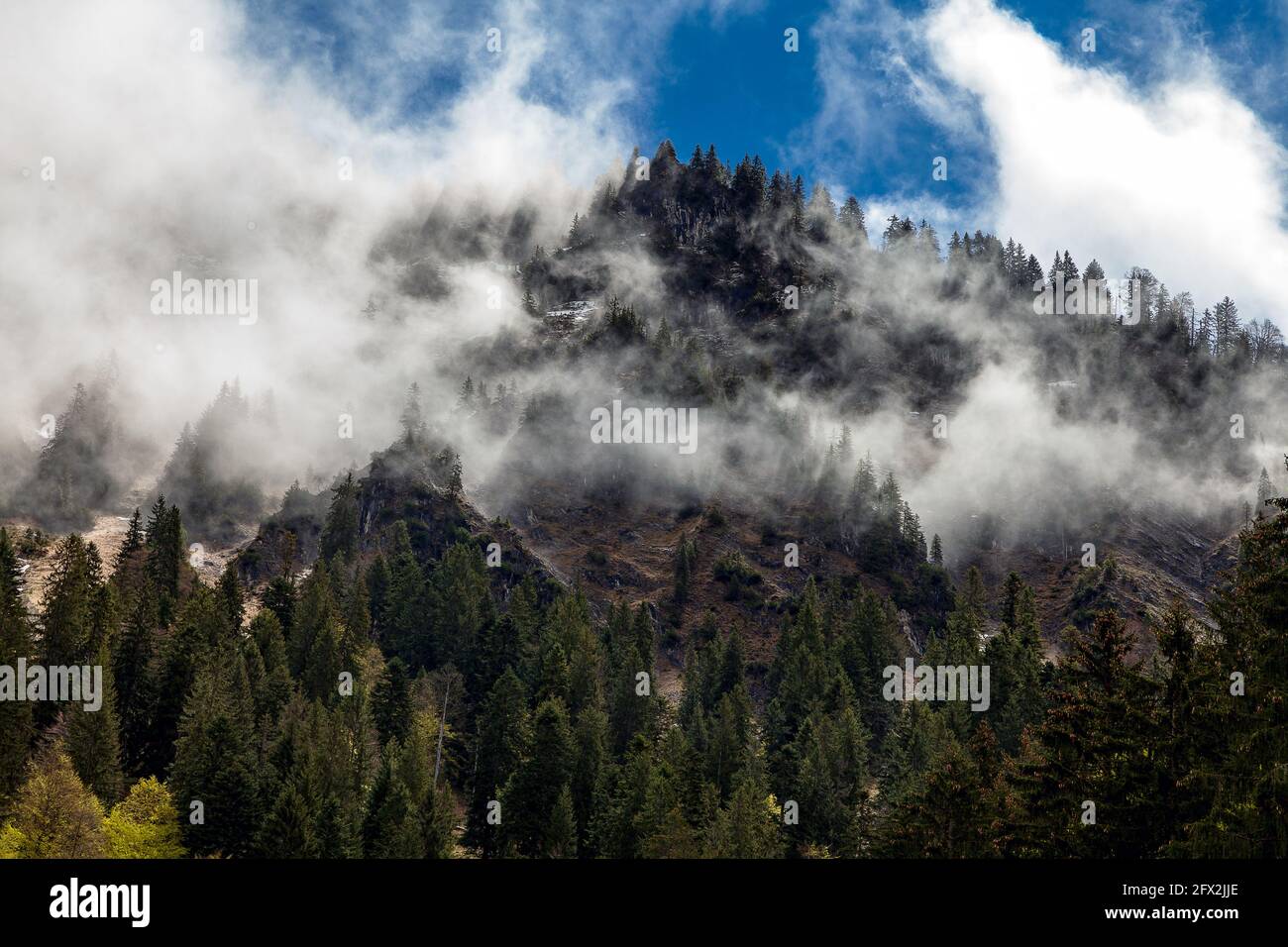 Fresh shrouds hi-res stock photography and images - Alamy