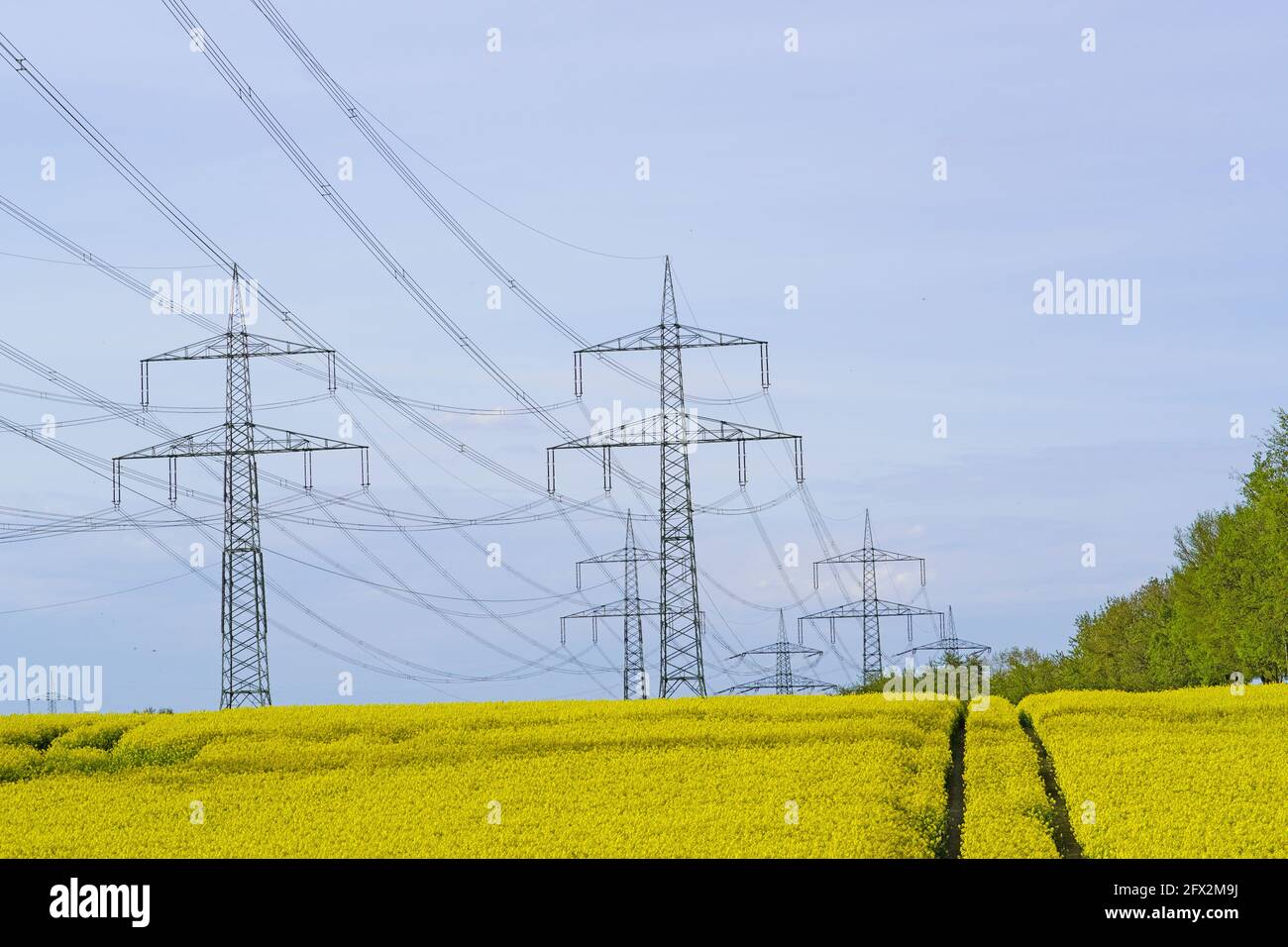 Above-ground power lines for energy supply. Yellow rape field and blue ...