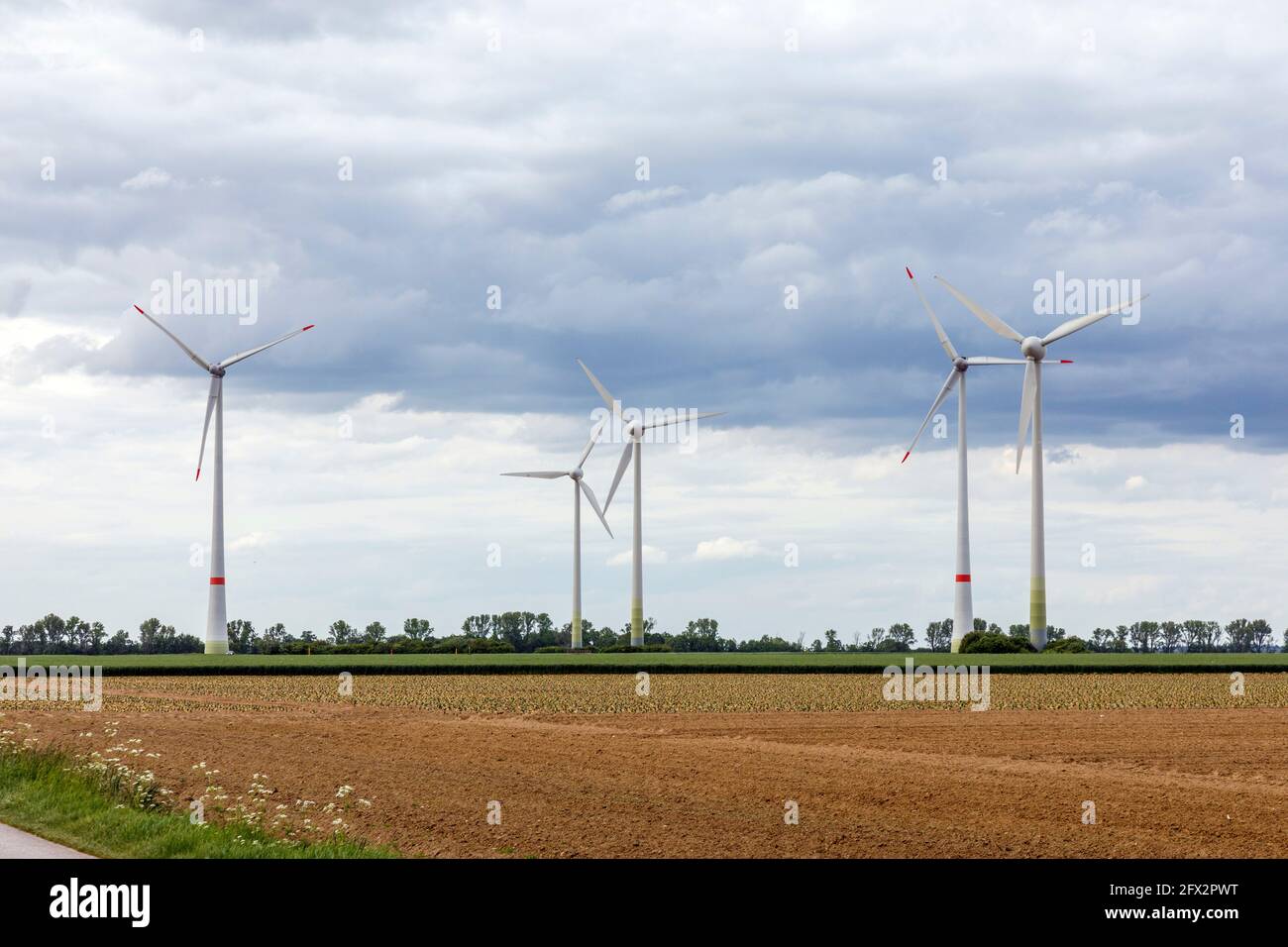 Kengen wind farm on the Lower Rhine Stock Photo - Alamy