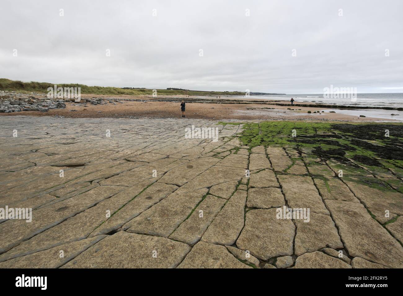 Cocklawburn beach hi-res stock photography and images - Alamy