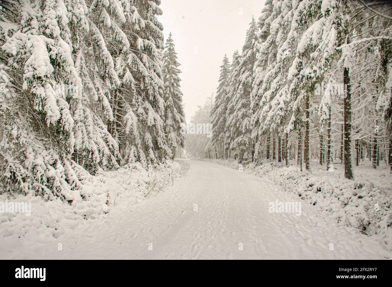 Wunderbar Eifel Schnee Aktuell Fotos