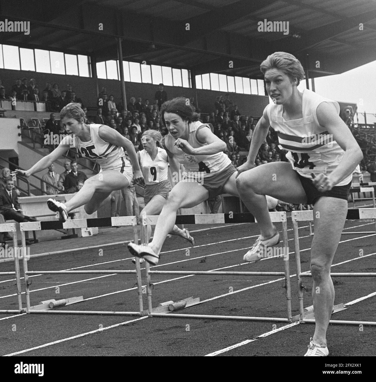 Pat pryce 1964 hi-res stock photography and images - Alamy