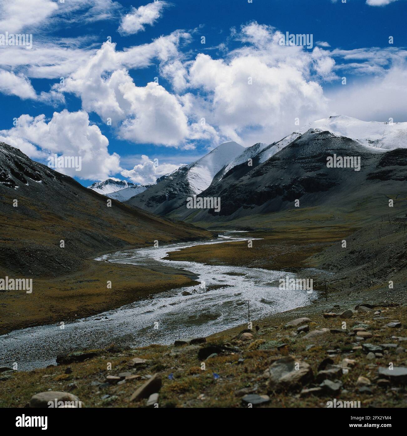 Mountain green water sunny river jungle hd background picture Stock ...