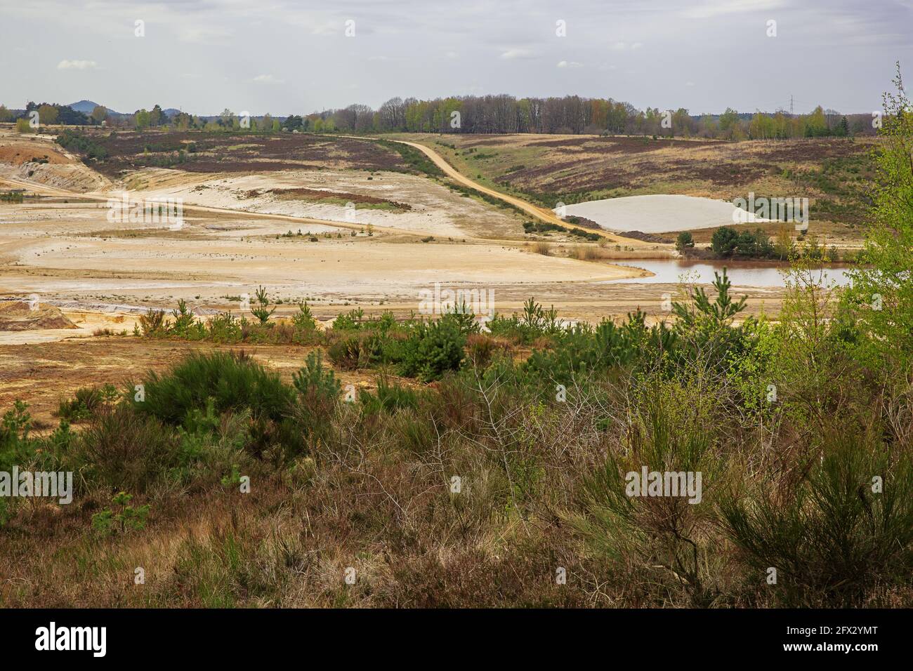 Overview of a sand quarry in the Mechelse Heide Stock Photo - Alamy