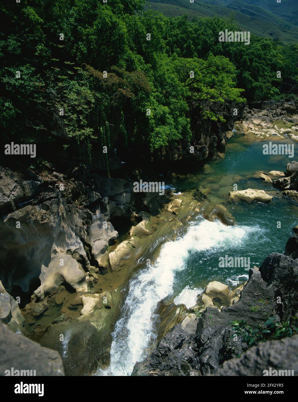 Mountain green water sunny river jungle hd background picture Stock ...